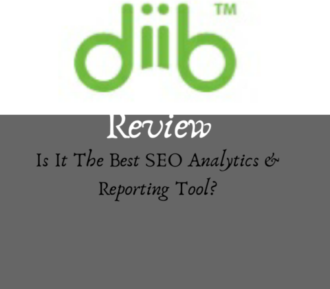 Diib Review [2021]: Is It The Best SEO Analytics Tool? - DepreneurDigest